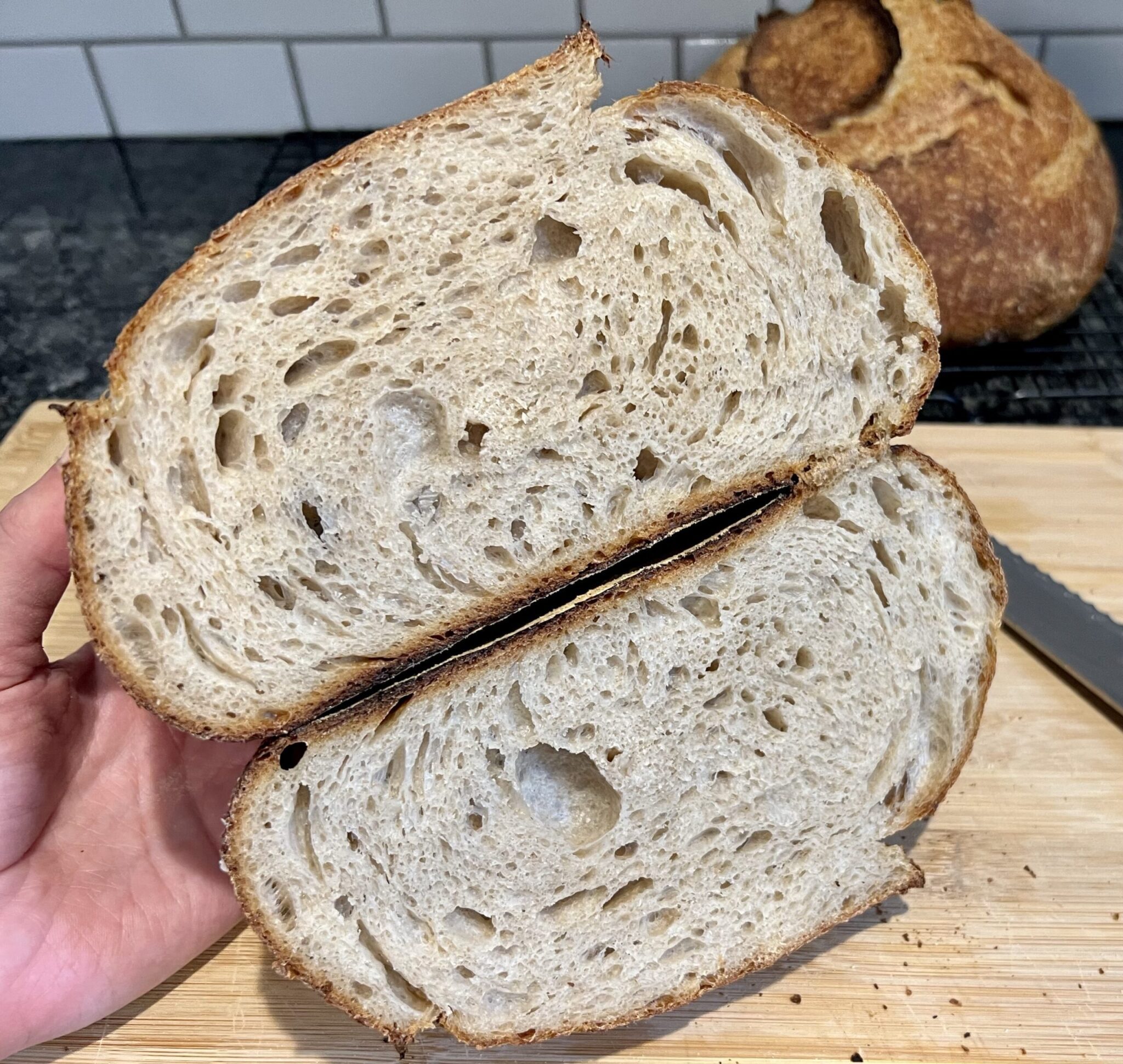 How to Obtain a Well-Structured Sourdough Crumb - Healing Slice