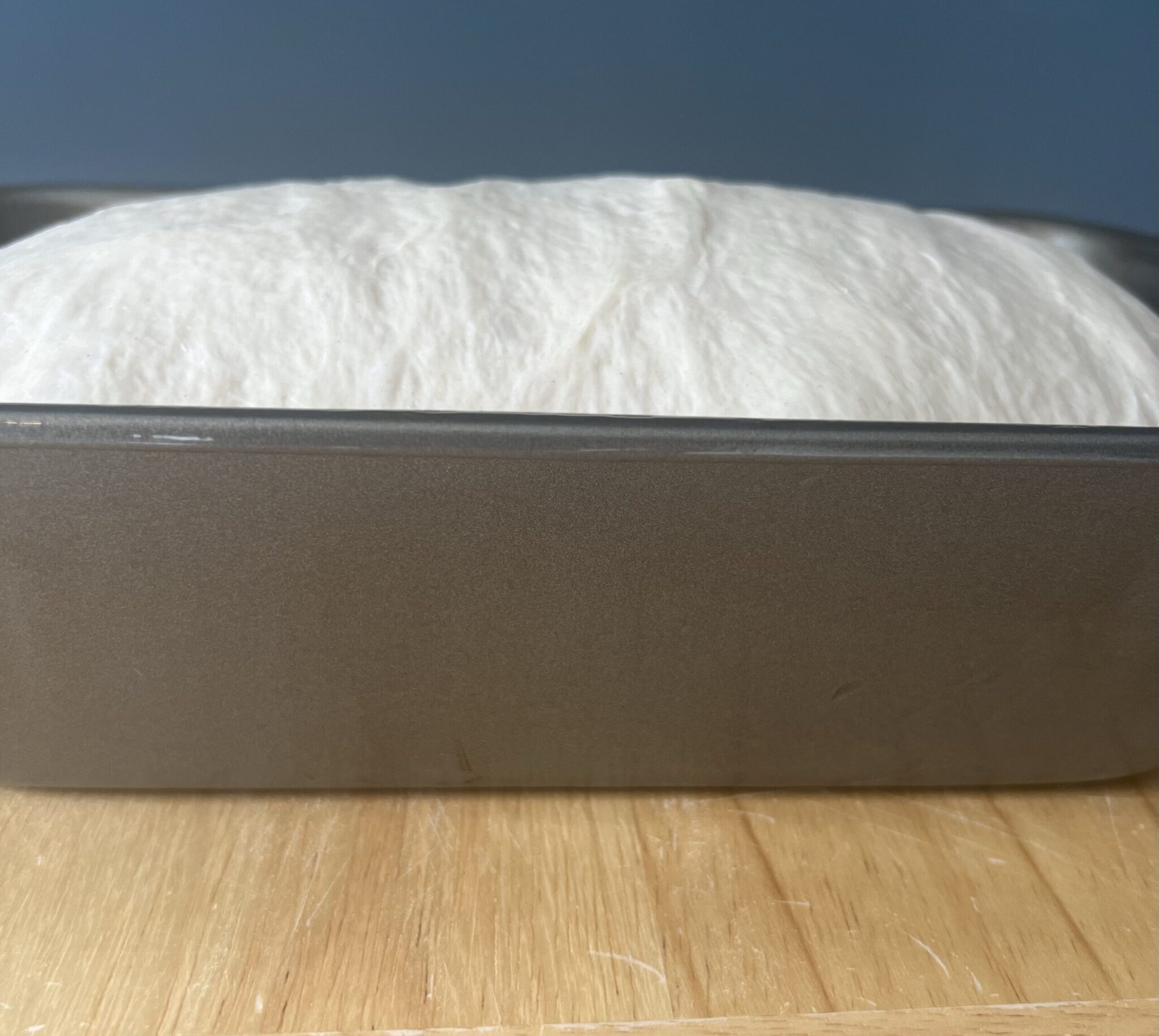 Easy Sourdough Sandwich Bread - Healing Slice