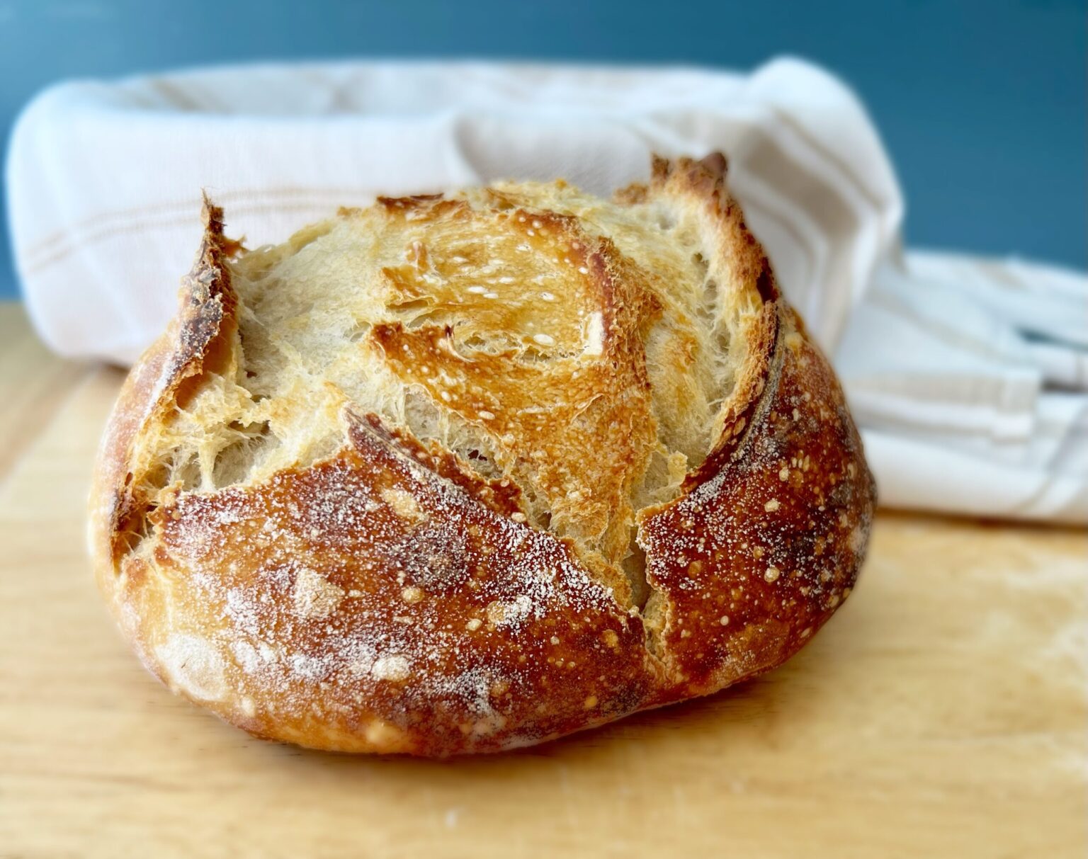 Small Sourdough Loaf (with AP flour) - Healing Slice