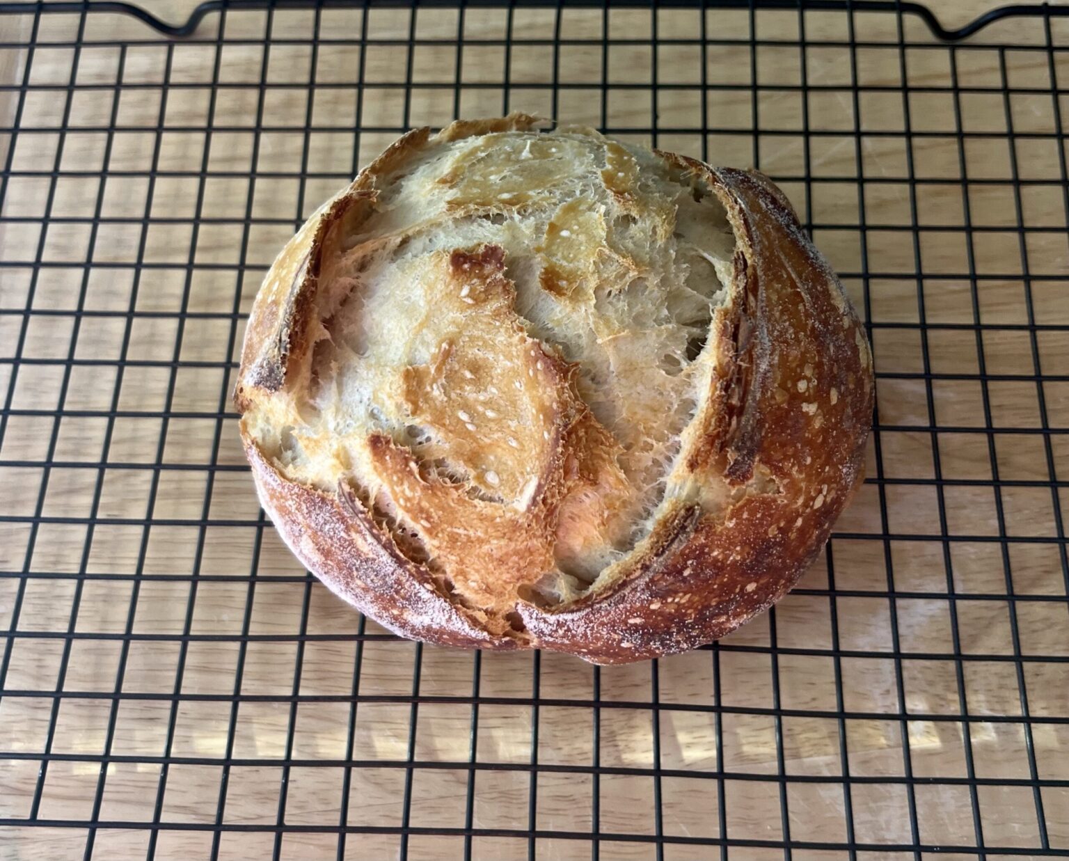 Small Sourdough Loaf (with AP flour) - Healing Slice