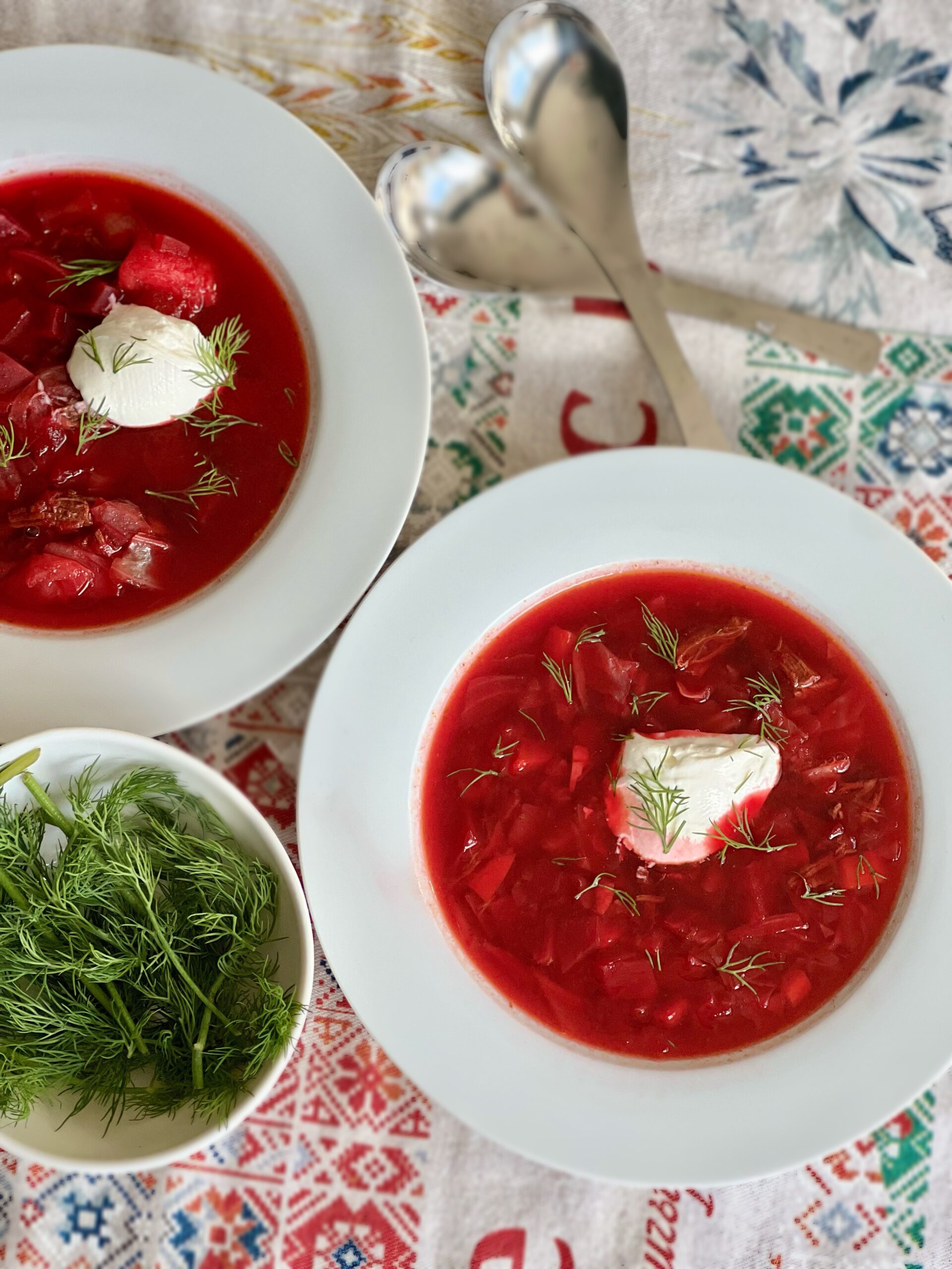 Classic Borscht (beet soup) - Healing Slice