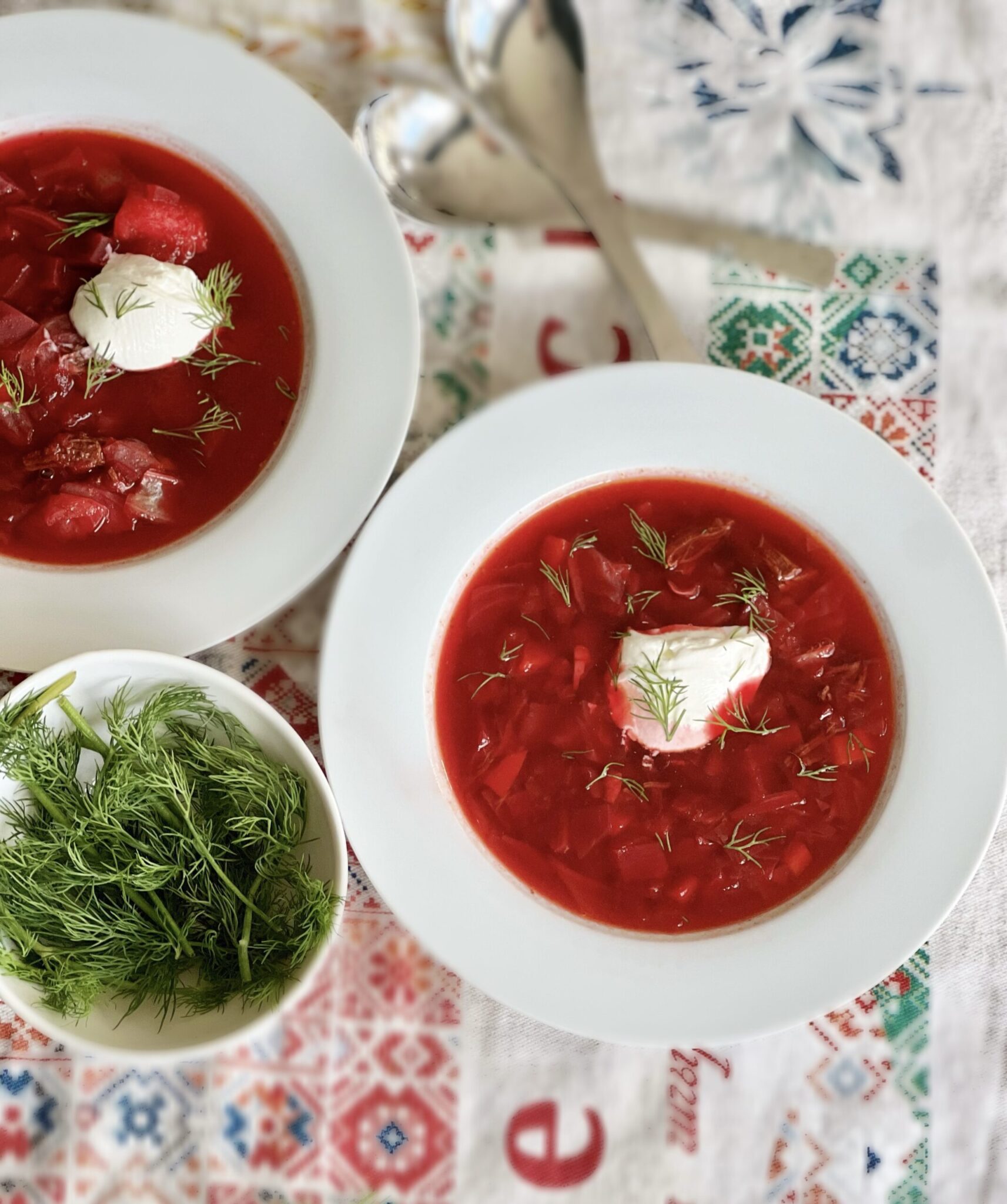 Classic Borscht (beet soup) - Healing Slice