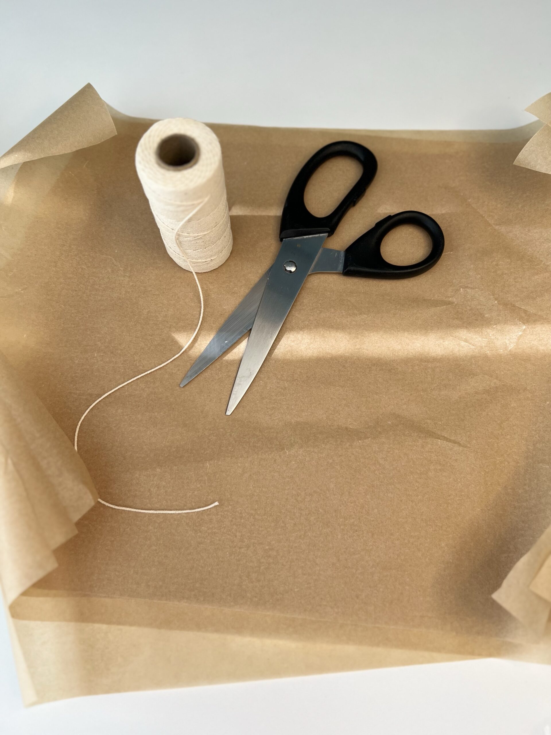 Salmon en Papillote - Healing Slice