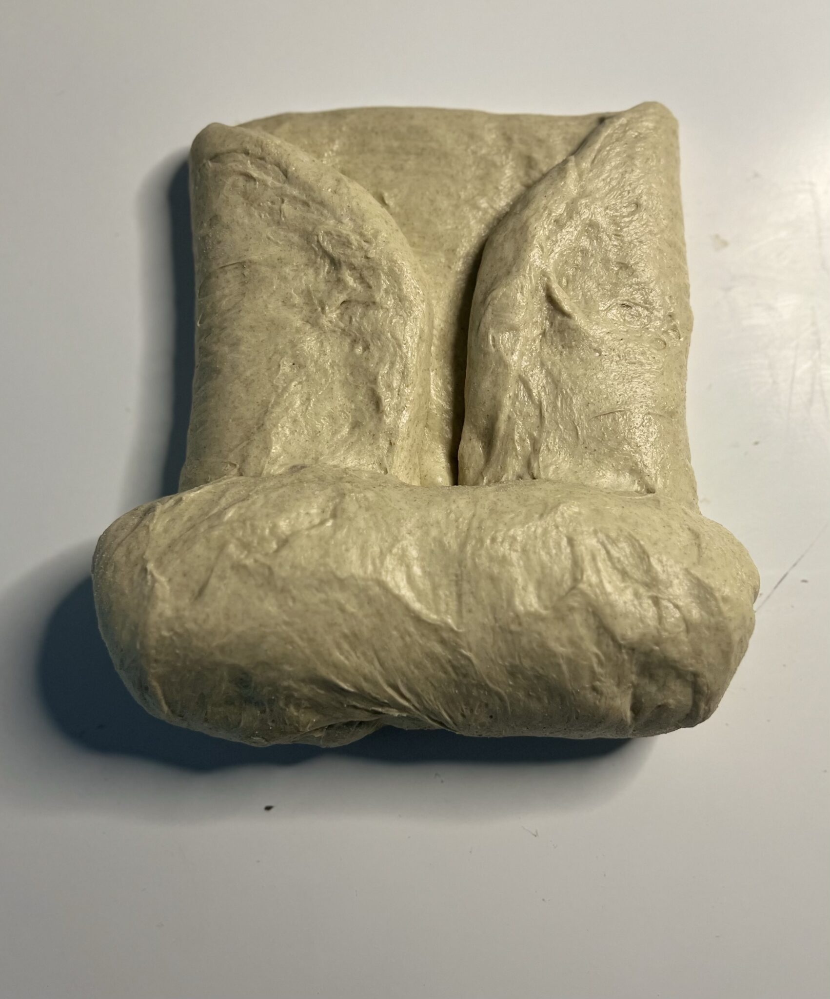 Sourdough Rye Sandwich Bread - Healing Slice