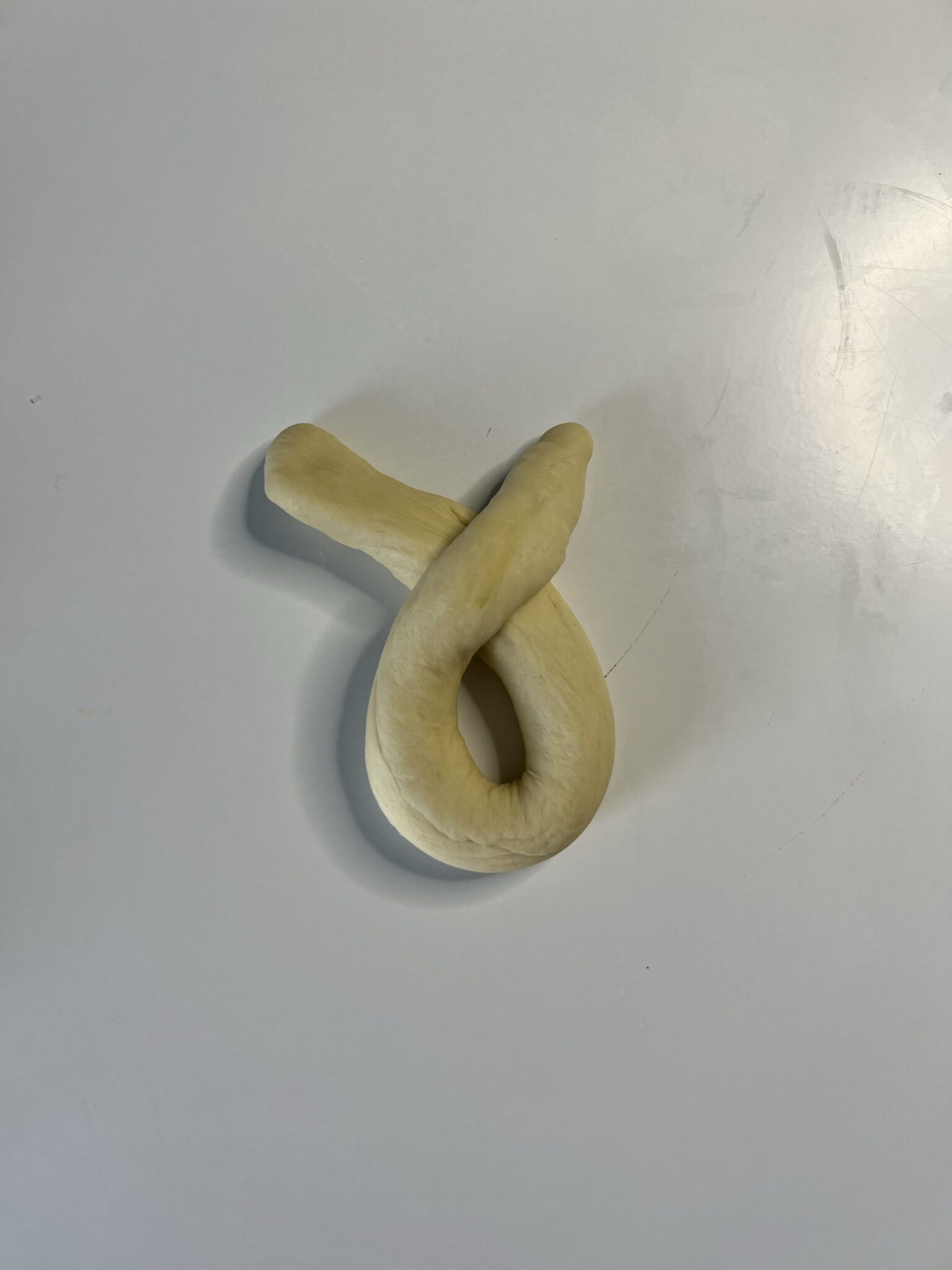 Sourdough Discard Garlic Knots - Healing Slice