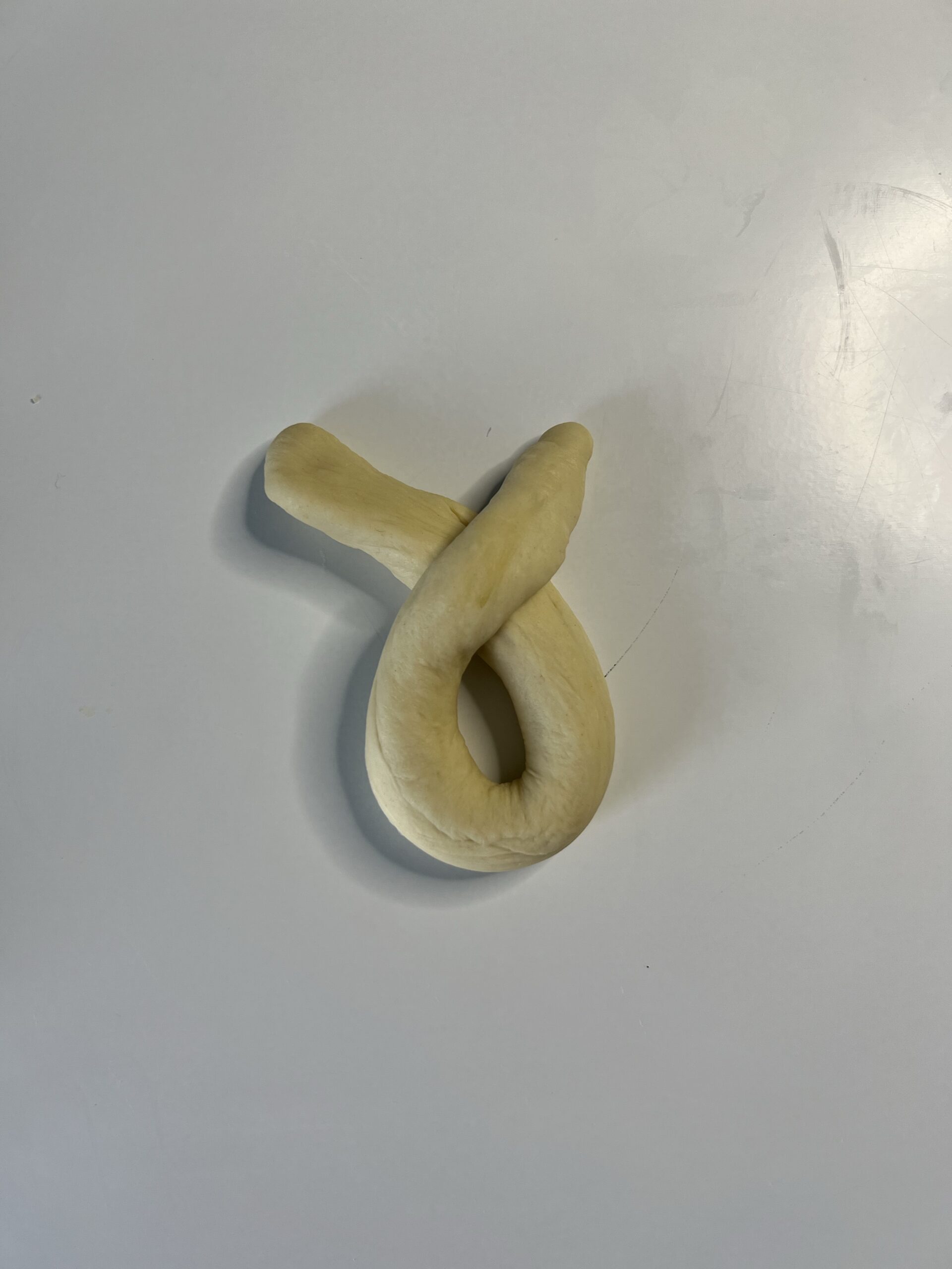 Sourdough Discard Garlic Knots - Healing Slice