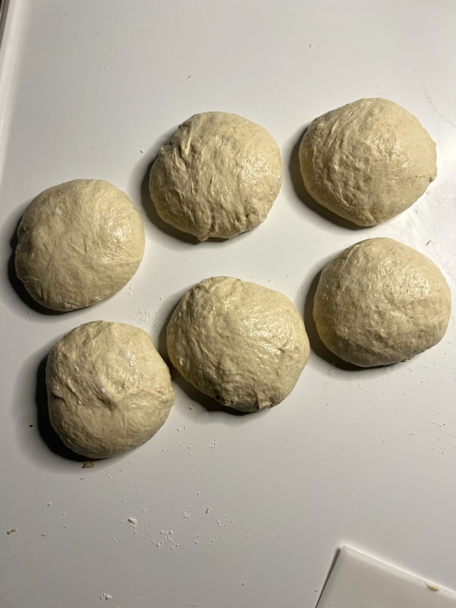 Sourdough Hoagie Rolls [Sourdough Sandwich Rolls] - Healing Slice