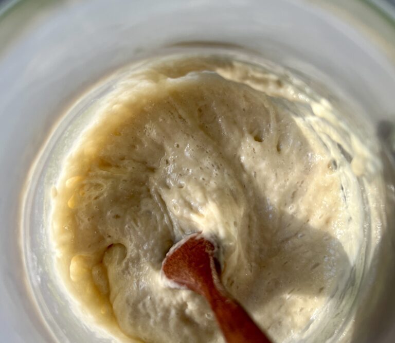 Sweet Stiff Sourdough Starter - Healing Slice