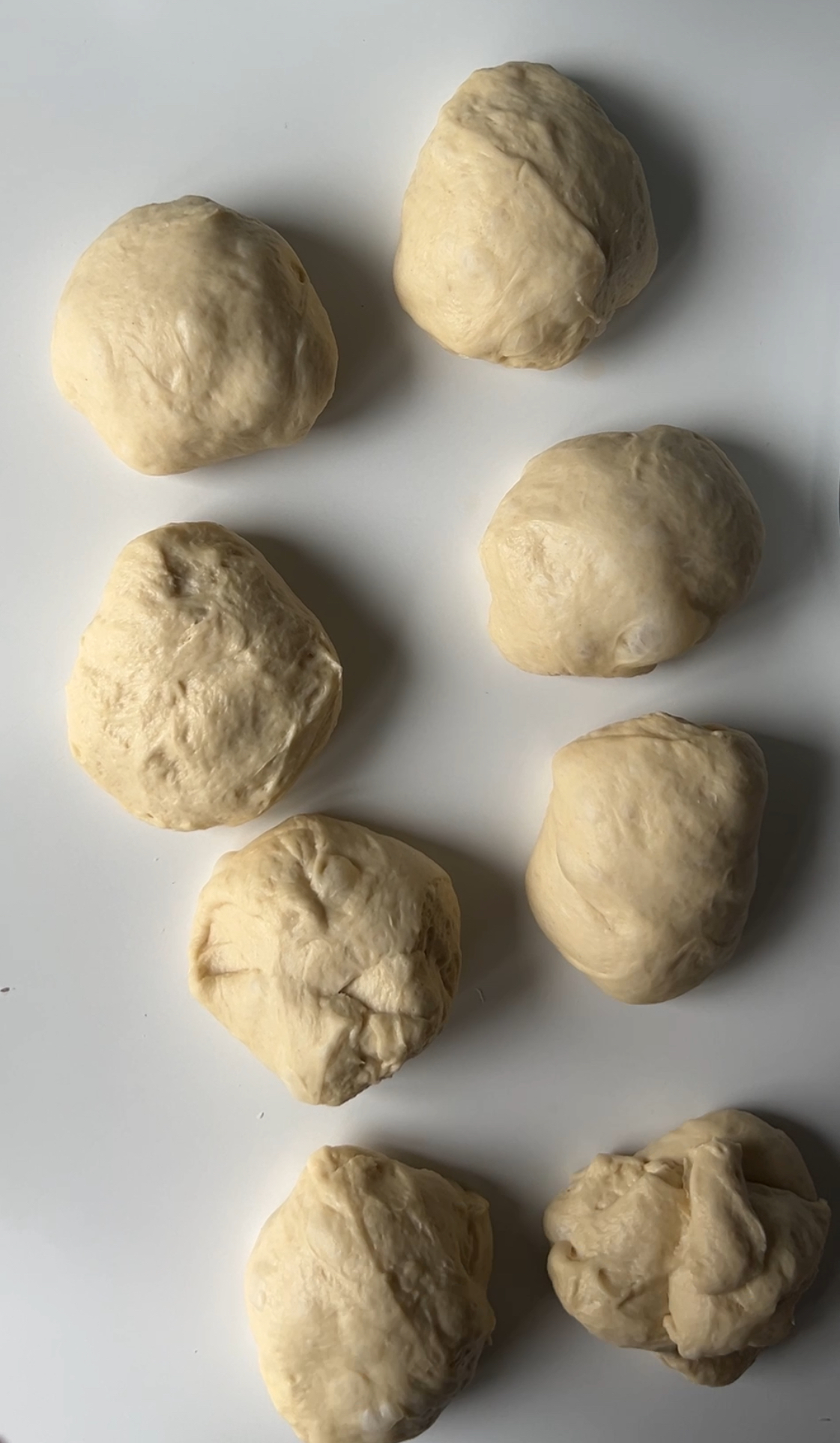 Sourdough Hamburger Buns - Healing Slice