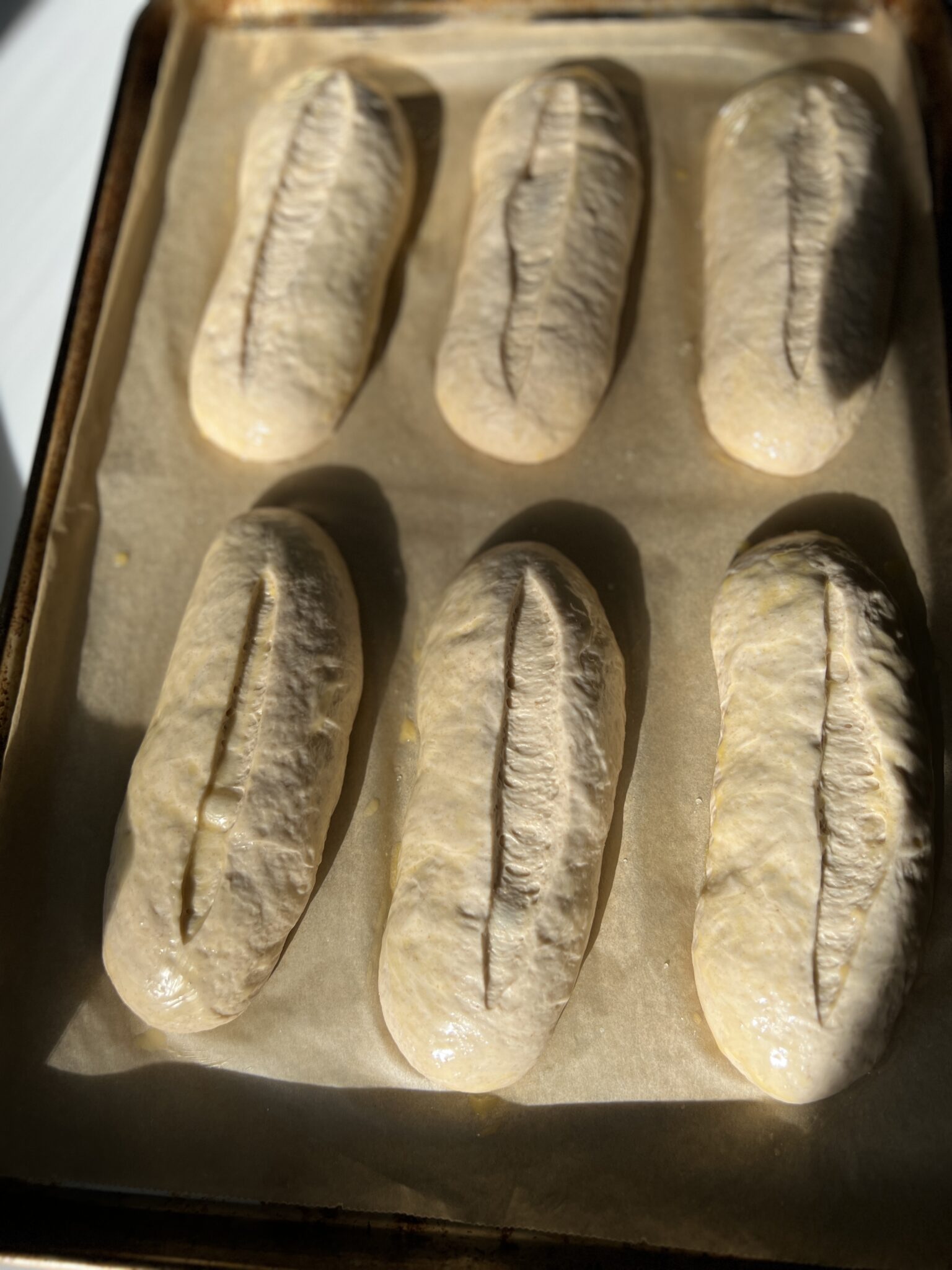 Sourdough Hoagie Rolls [Sourdough Sandwich Rolls] - Healing Slice