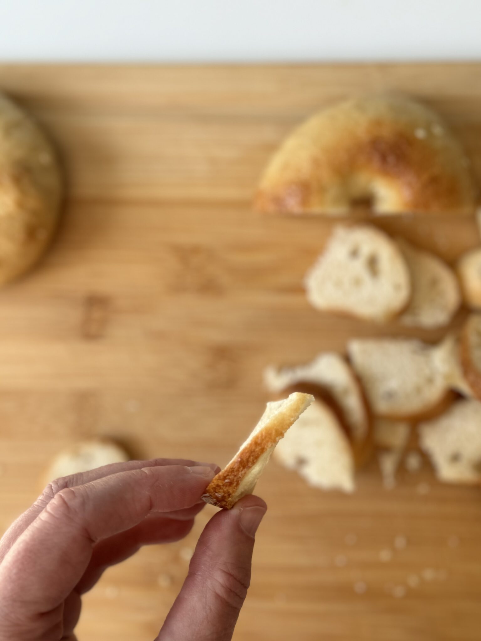 Sourdough Bagel Chips - Healing Slice