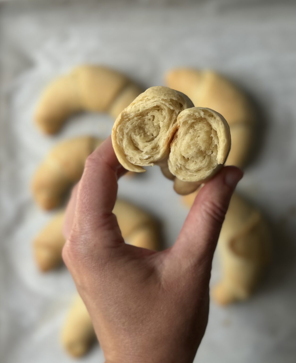 Sourdough Discard Crescent Rolls - Healing Slice