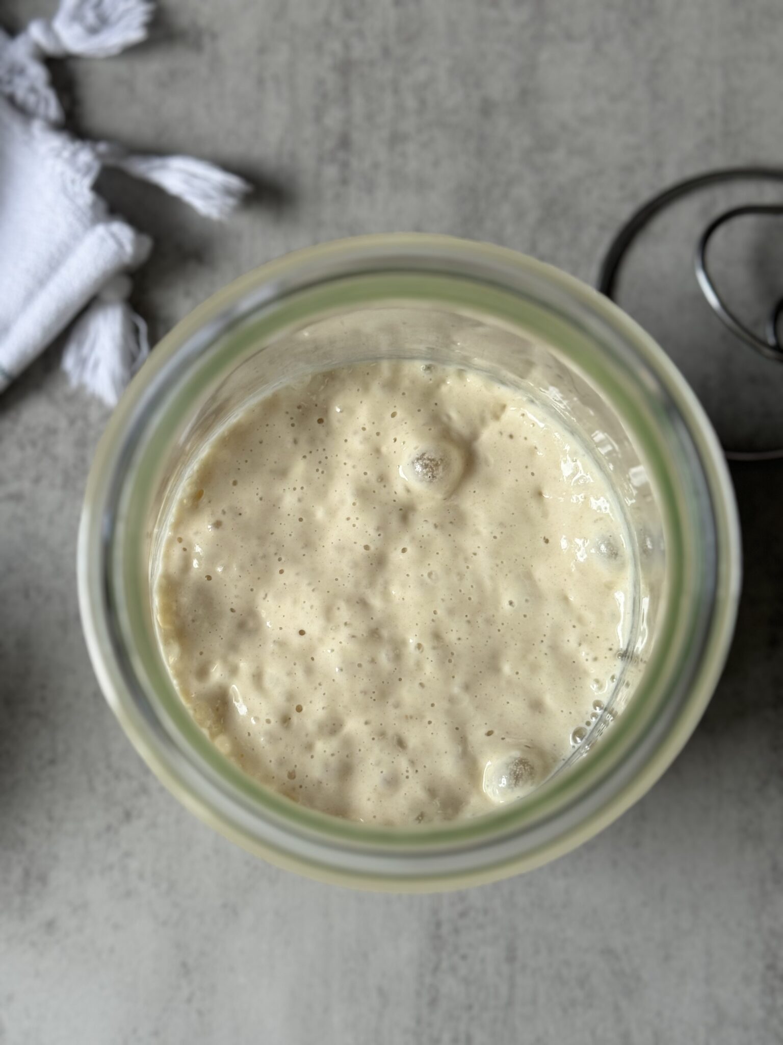 Troubleshooting Sourdough Starters (FAQ) - Healing Slice