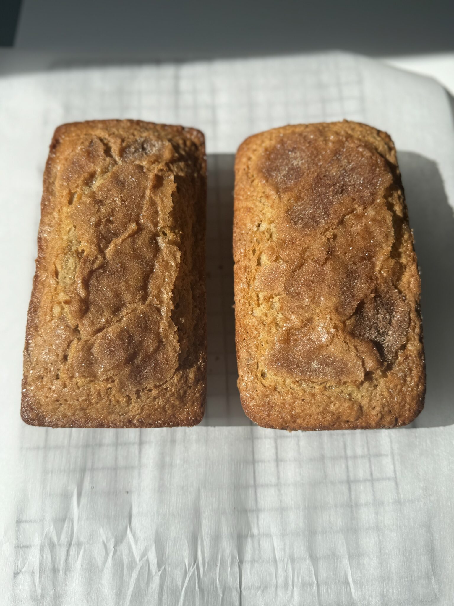 Amish Friendship Bread - Healing Slice