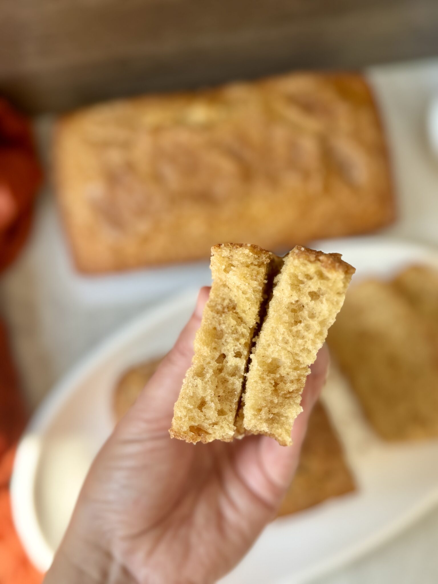 Amish Friendship Bread - Healing Slice