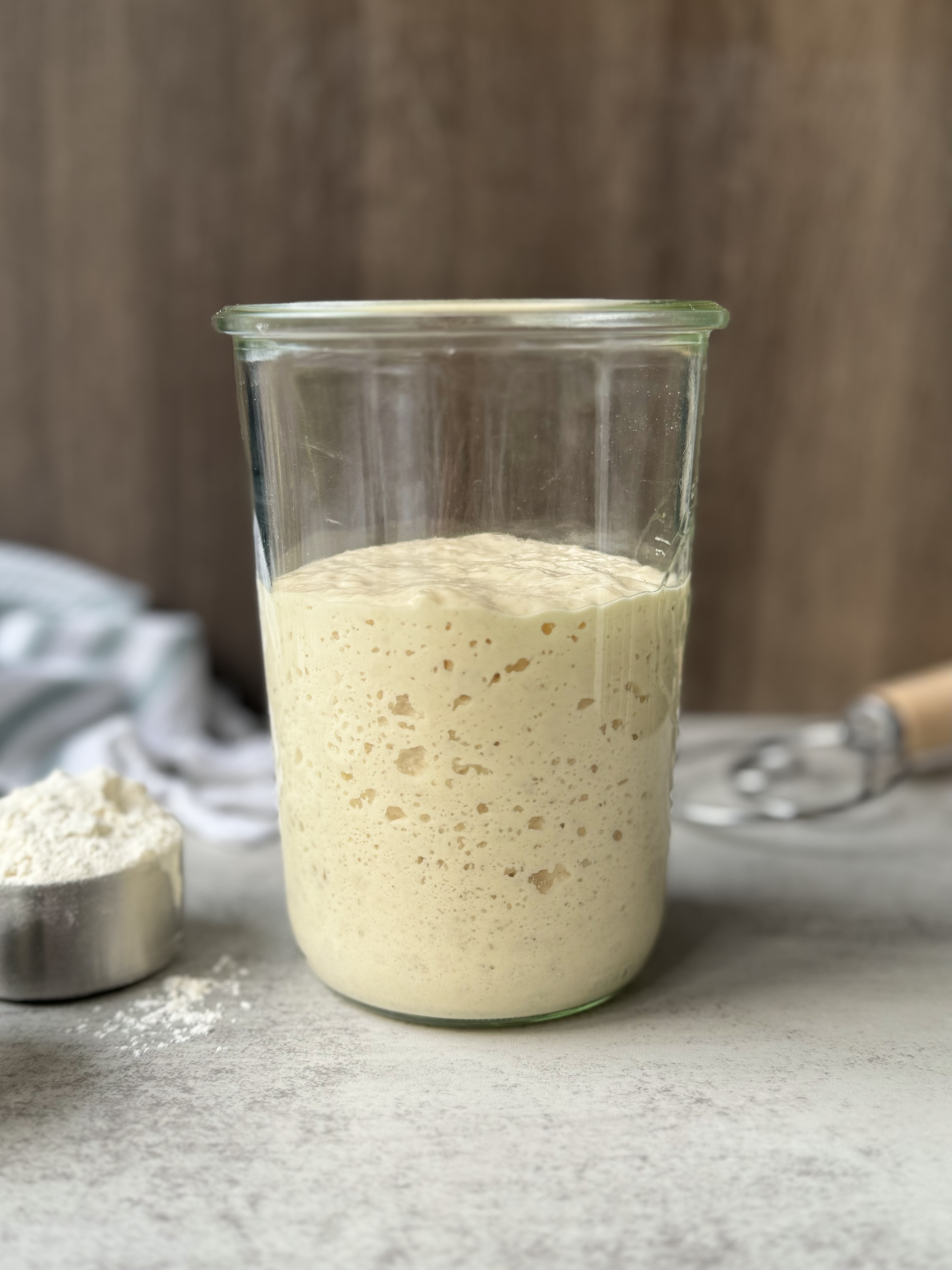 Sweet Stiff Sourdough Starter - Healing Slice