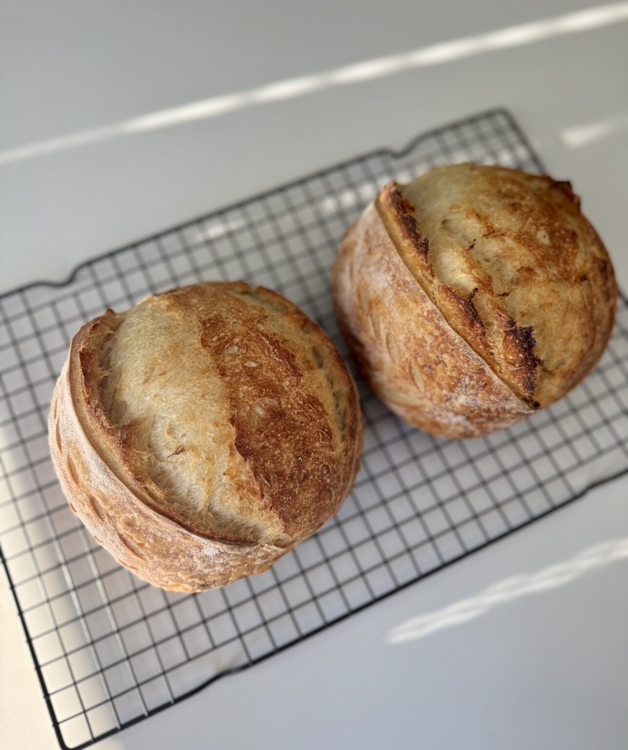 Mini Sourdough Loaves - Healing Slice