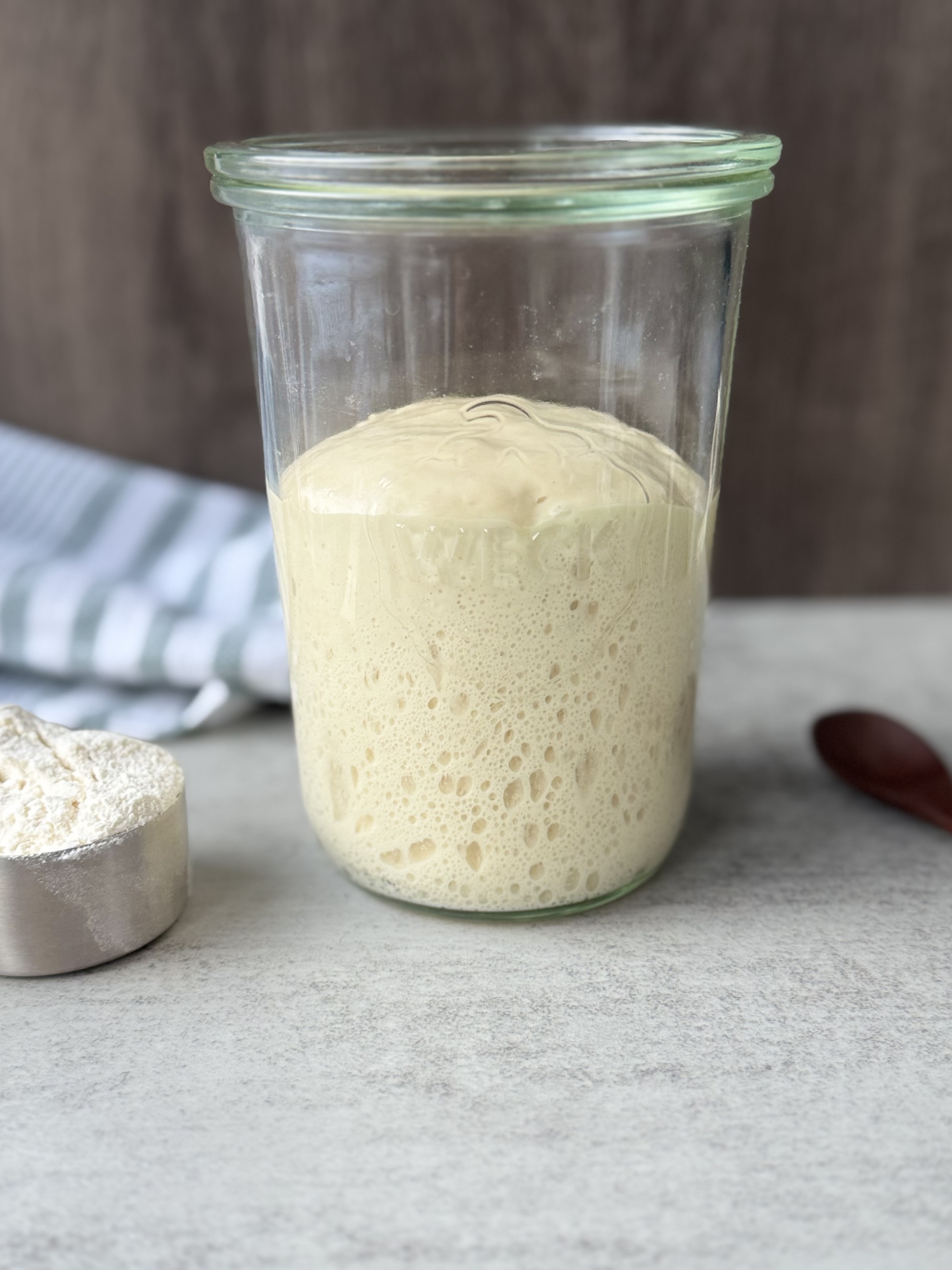 Sweet Stiff Sourdough Starter - Healing Slice