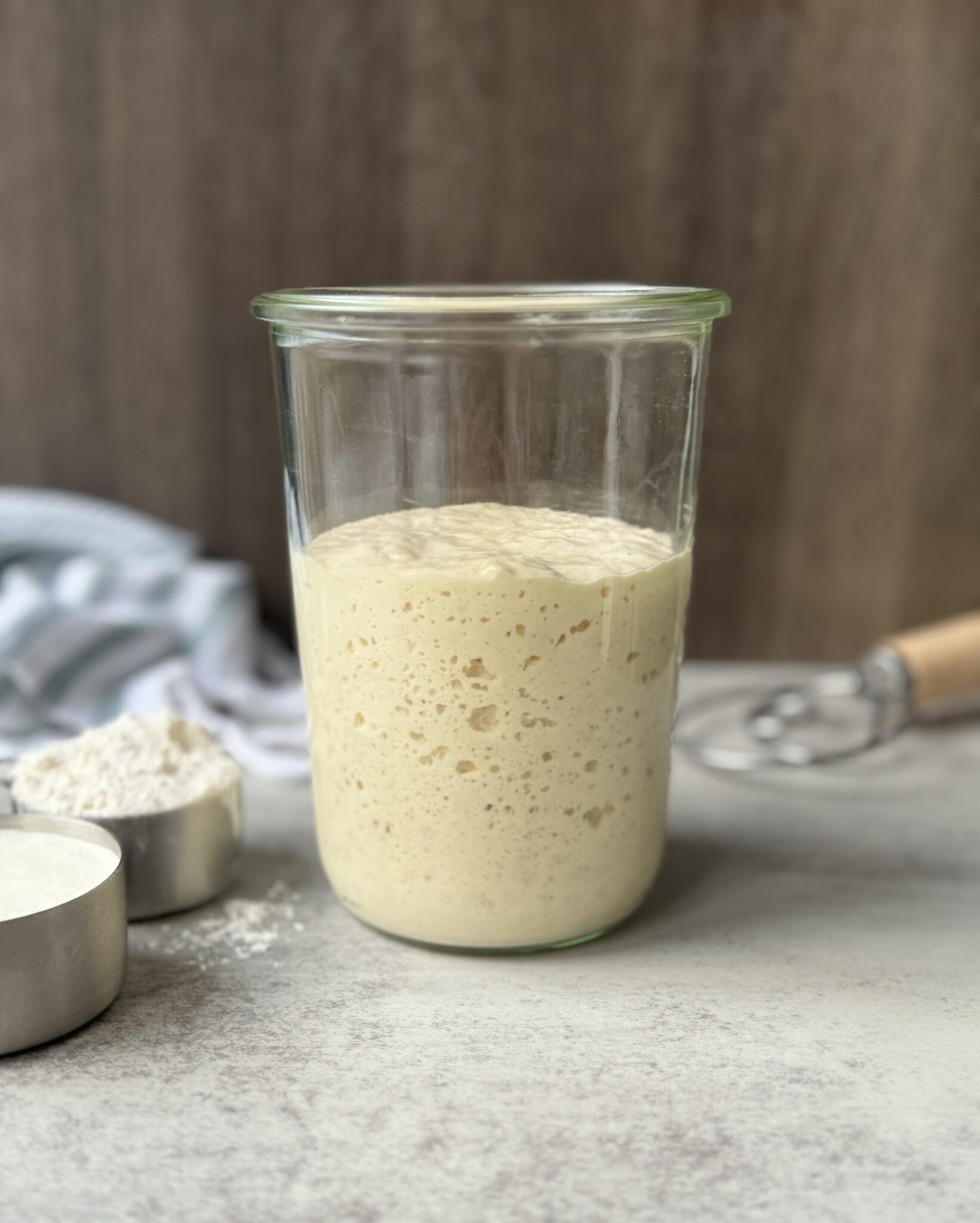 Amish Friendship Chocolate Chip Cookies (sourdough option included ...