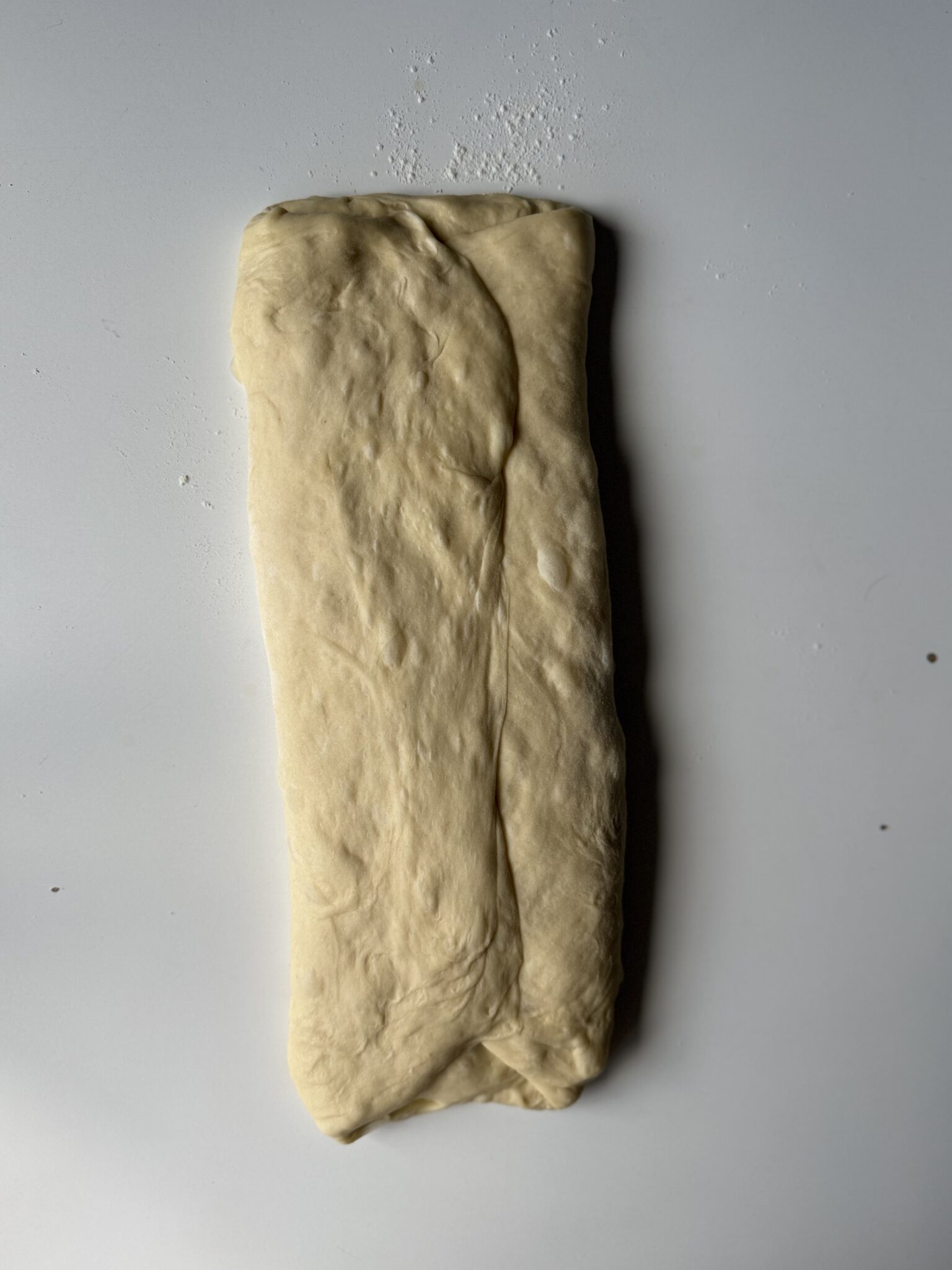 Soft Sourdough Sandwich Bread (not too tangy!) - Healing Slice