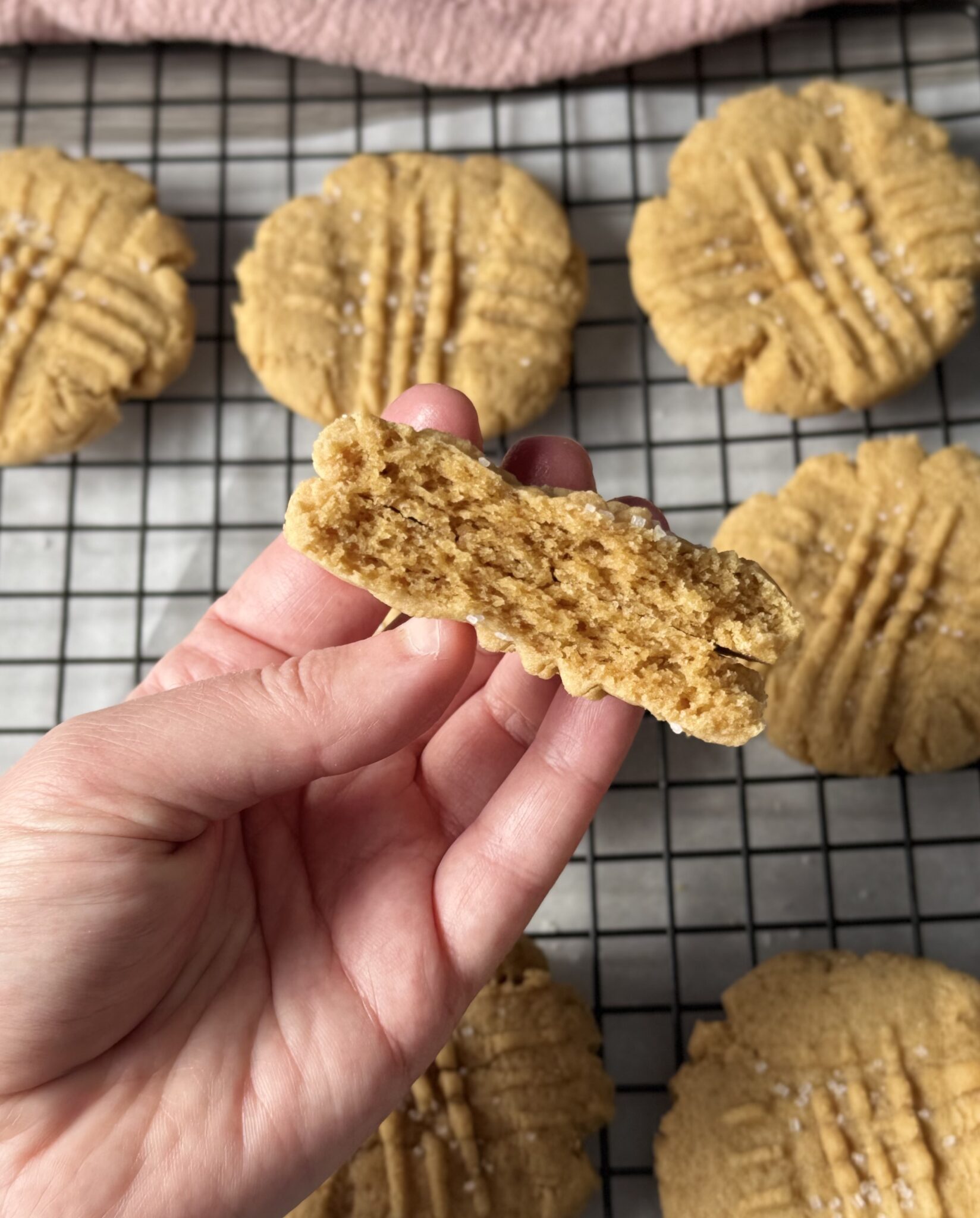 Amish Peanut Butter Cookies - Healing Slice