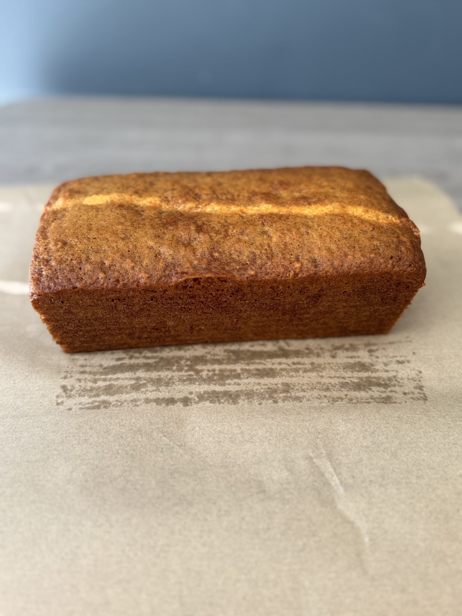 Sourdough Honey Spice Bread - Healing Slice