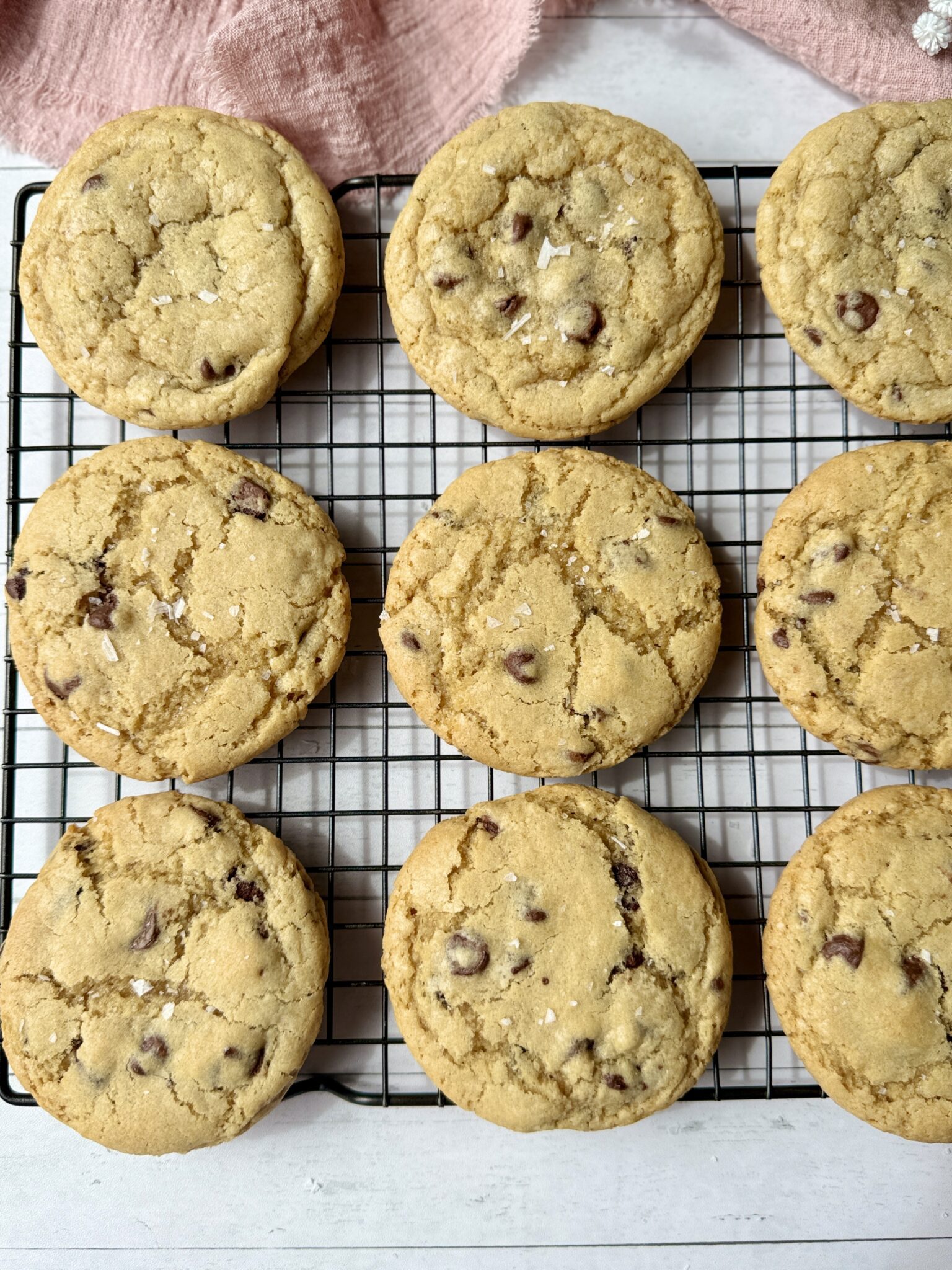 Amish Friendship Chocolate Chip Cookies (sourdough option included ...