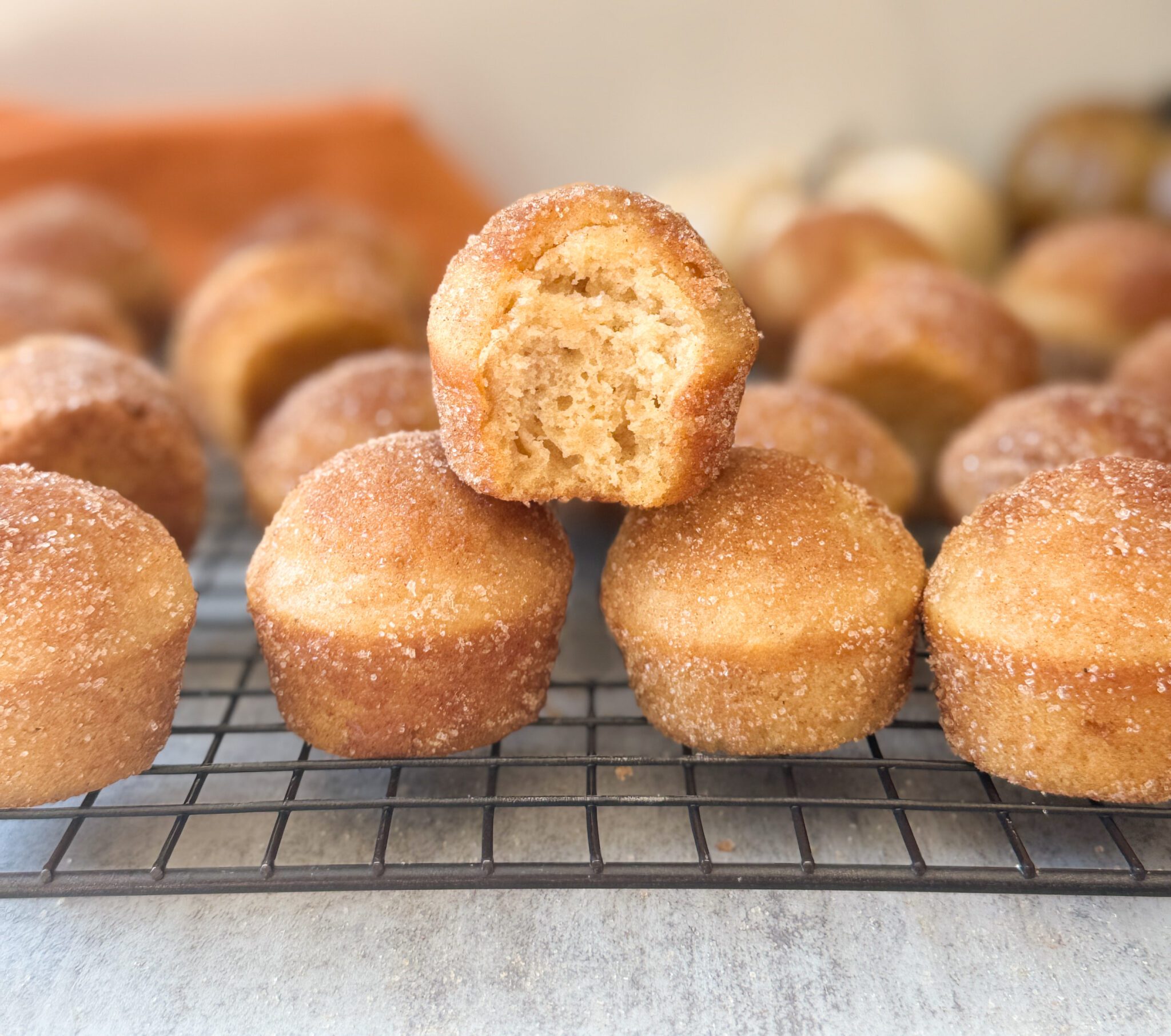 Sourdough Donut Muffins - Healing Slice