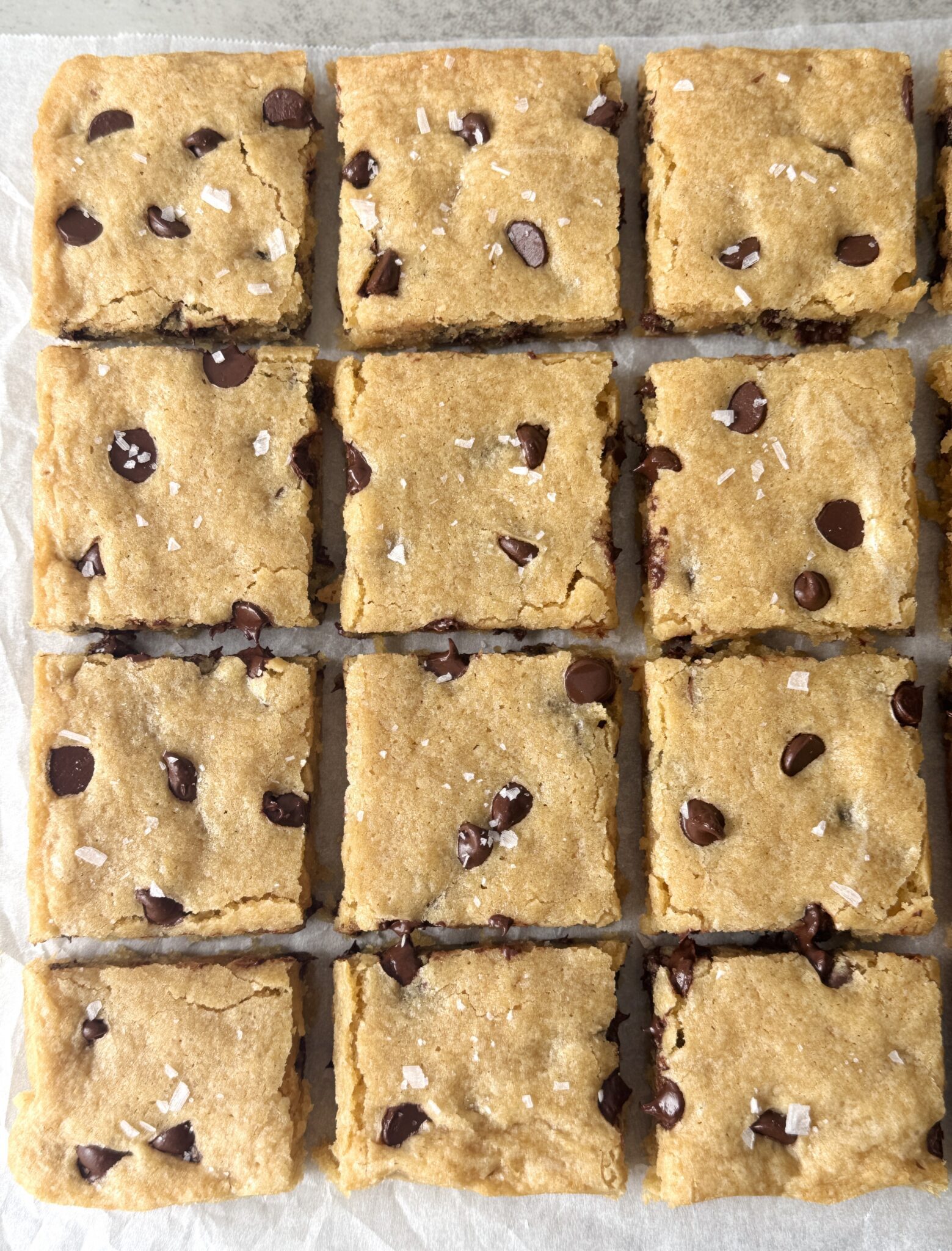 Easy Sourdough Blondies (soft & chewy!) - Healing Slice